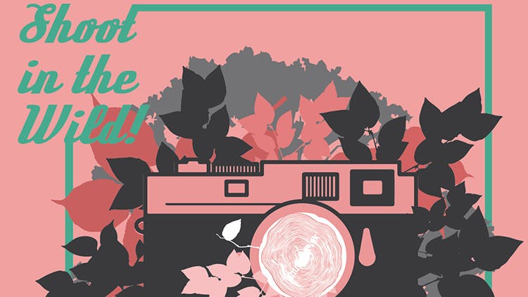 Flora Yi Han Chou | Parsons School of Design